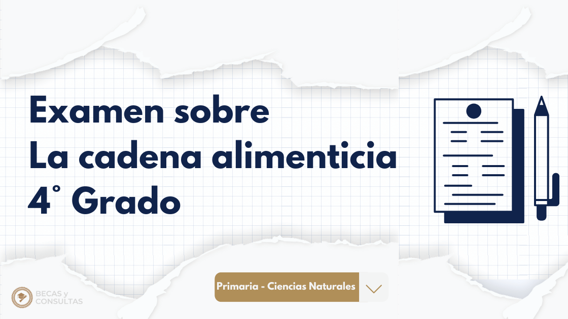 Examen sobre La cadena alimenticia 4° Grado - becasconsulta